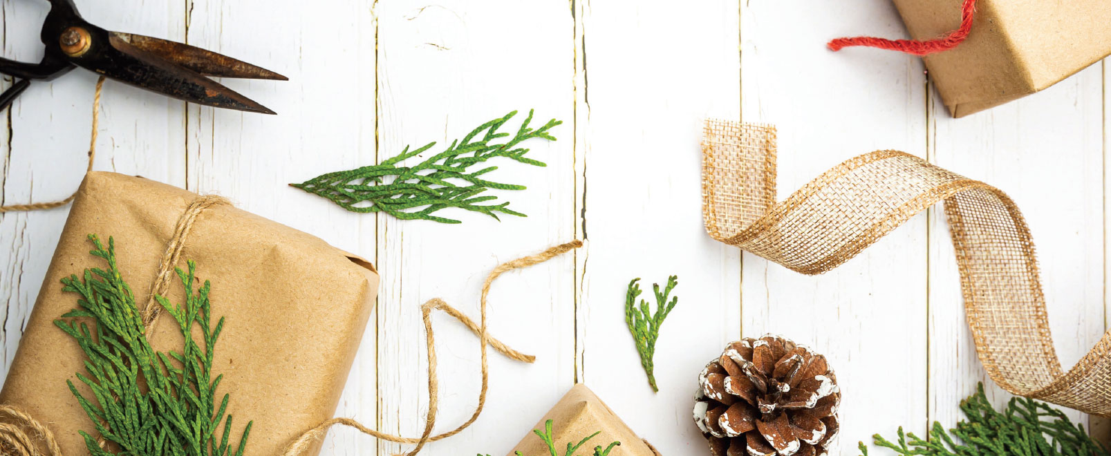 18th Annual Gift Guide | Lynchburg Living